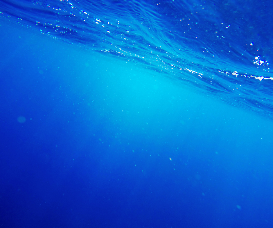 Les bienfaits de la mousse de mer pour les femmes – Snap Supplements